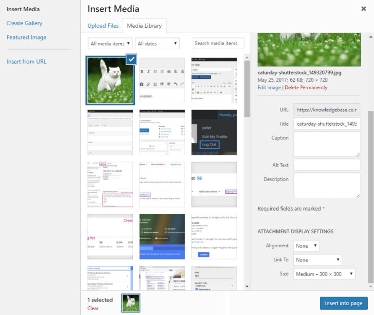 Knowledgebase.co.nz | Managing media